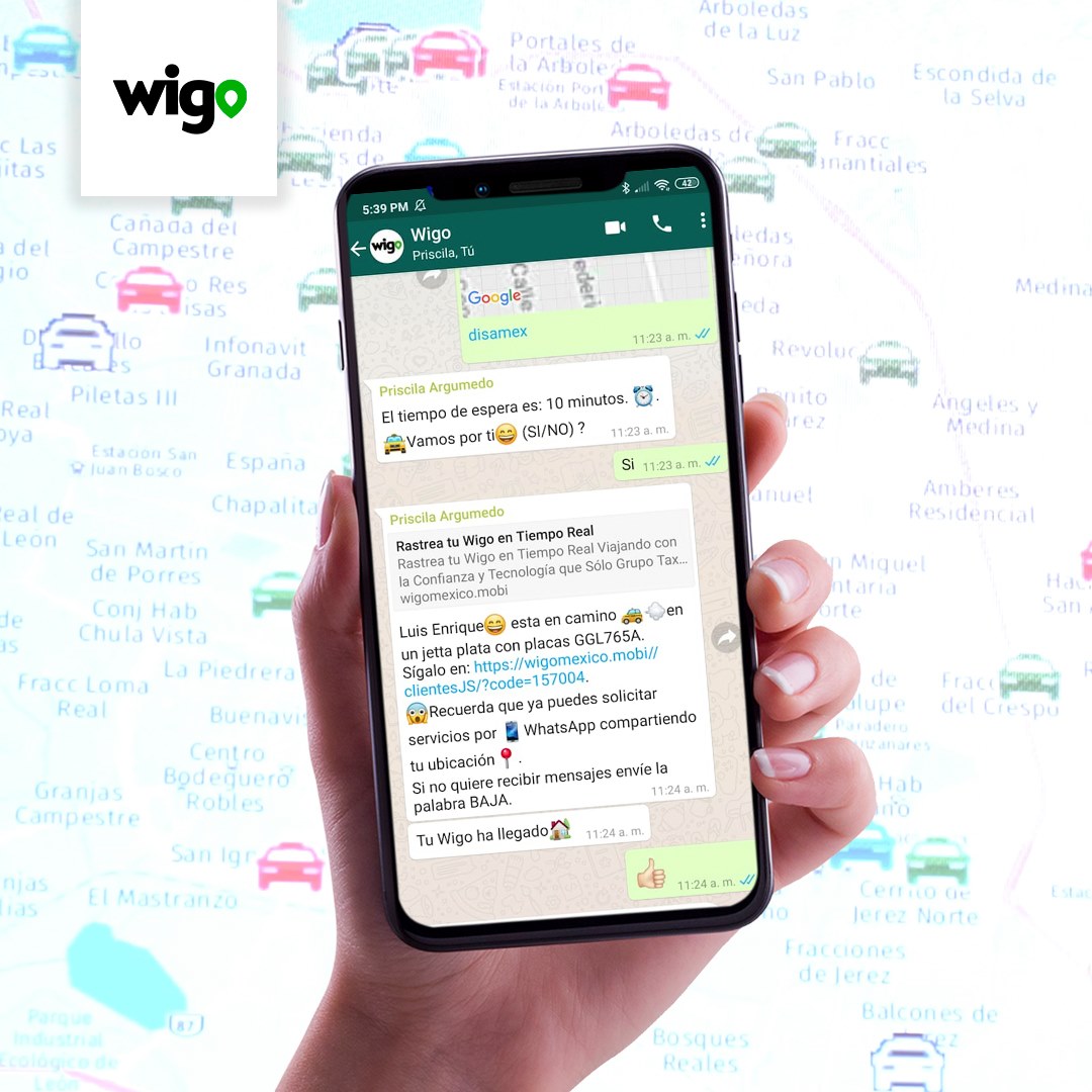 Como usar la app WIGO®